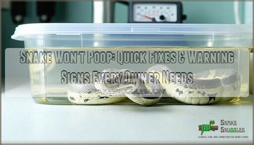 Healthy Snake Poop: What to Look for and Signs of Potential Issues