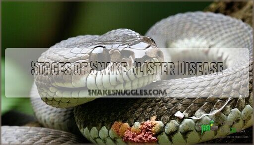 Snake Skin Infection Symptoms: Early Warning Signs You Can't Miss