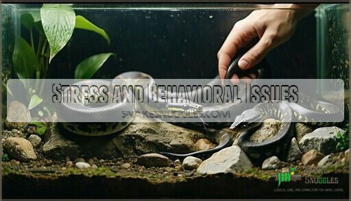 Can You House Ball Pythons Together? The Surprising Truth Revealed