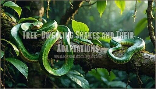 Snake Habitat in The Jungle: 15 Deadly Species You Must Avoid