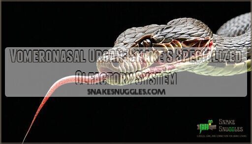 Snake Tongue Anatomy Function: Forked Design & Chemical Detection