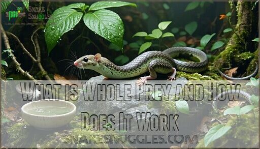 Best Snake Food Brands: 2025's Top Picks for Healthy Reptiles