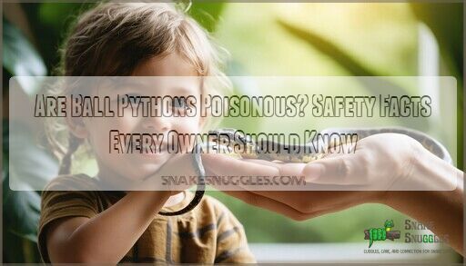 Are Ball Pythons Poisonous? Safety Facts Every Owner Should Know