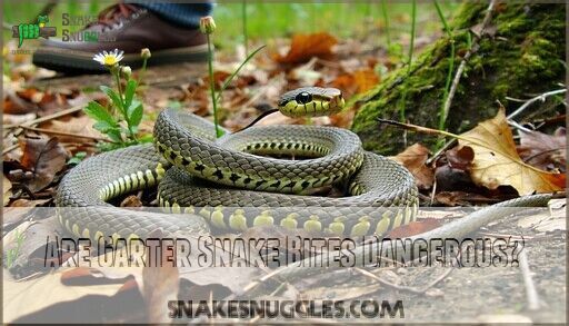 Do Garter Snakes Bite Often? Facts About Their Behavior & Risks