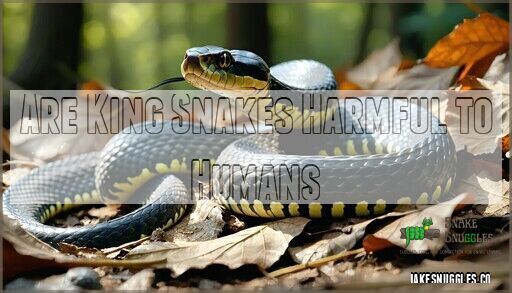 Are King Snakes Poisonous? Facts About These Helpful Constrictors