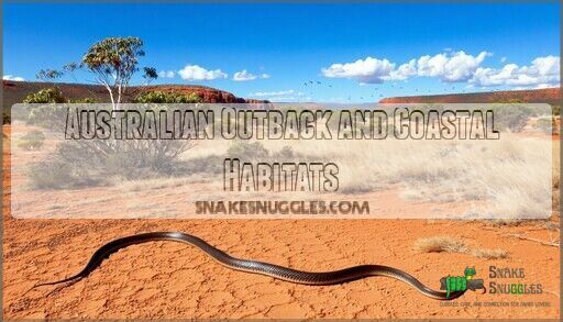 Snake Habitat Map: Global Species Distribution & Range Locations