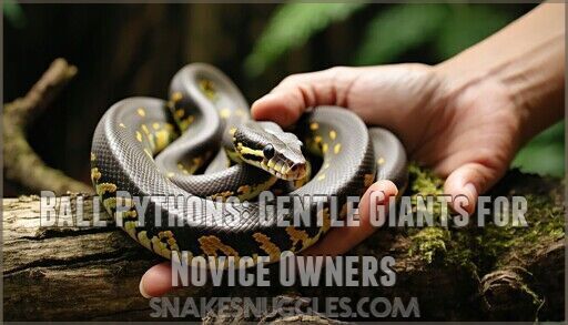 Top 7 Best Snake Breeds for Total Beginners - Easy Care Guide