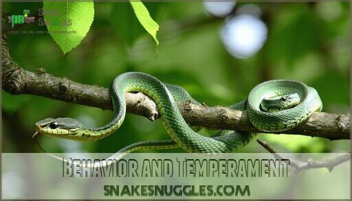 Rough Green Snake Care Sheet: Herpetologist-Approved Guide 2025