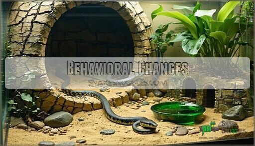 Ball Python Shedding: Complete Guide to Signs, Problems & Solutions