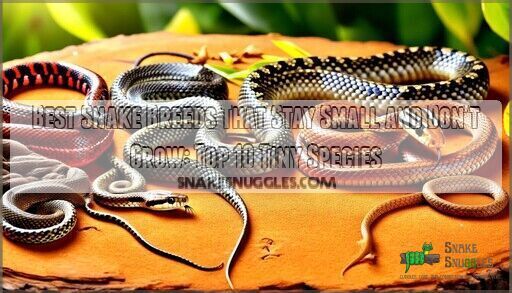 Best Snake Breeds That Stay Small and Don't Grow: Top 10 Tiny Species