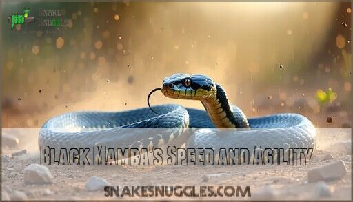 Can You Outrun a Snake? How Fast Are You Vs Snake Speed Revealed