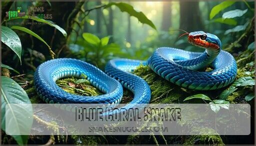 Unique Snake Types to Own: 15 Rare Species That Will Amaze You
