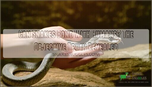 Can Snakes Bond With Humans? The Objective Truth Revealed