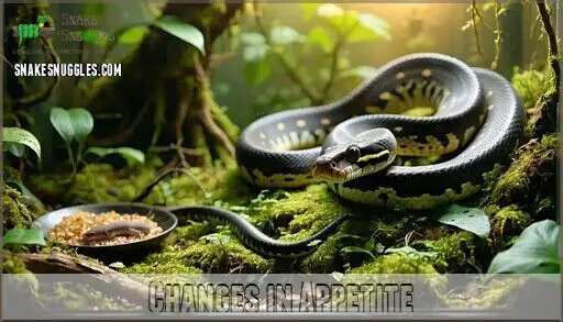 Ball Python Shedding: Complete Guide to Signs, Problems & Solutions