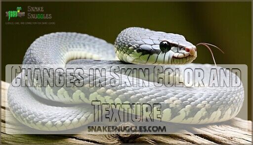 Ball Python Shedding: Complete Guide to Signs, Problems & Solutions