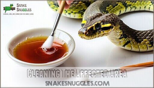 Ways to Treat Scale Rot: Step-by-Step Guide for Reptile Owners