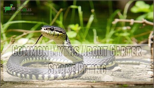 Do Garter Snakes Bite Often? Facts About Their Behavior & Risks