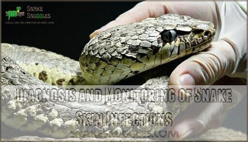 Snake Skin Infection and Emaciation: Deadly Fungal Disease Kills