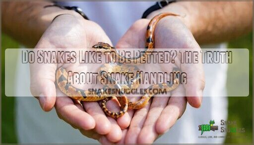 Do Snakes Like to Be Petted? The Truth About Snake Handling