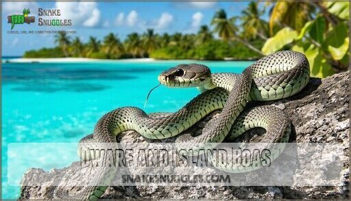 Different Species of Boas: 20+ Amazing Types You Need to Know