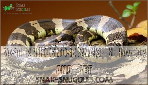 What Does an Eastern Hognose Snake Look Like: ID Guide & Facts