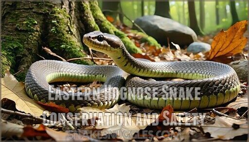 What Does an Eastern Hognose Snake Look Like: ID Guide & Facts