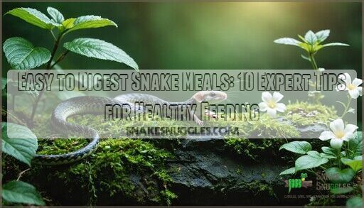 When Do Snakes Go Into Hibernation? Everything You Need to Know