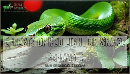 Can Snakes See Red Light? The Shocking Truth About Snake Vision!