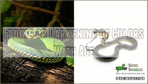 How to Tell Snake Age: Expert Methods for Accurately Estimating Snake Years