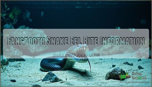 Fangtooth Snake Eels: 10 Shocking Facts About Their Deadly Bite