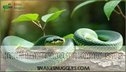 Rough Green Snake Care Sheet: Herpetologist-Approved Guide 2025