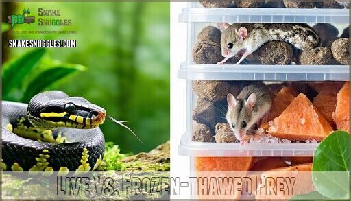 How Often to Feed Python: Complete Care Guide for 2025