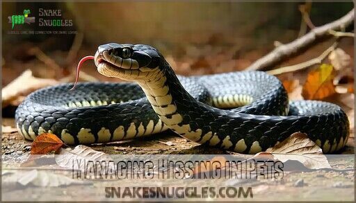 Snake Hissing Meaning and Reasons: Why Do Snakes Hiss at You?