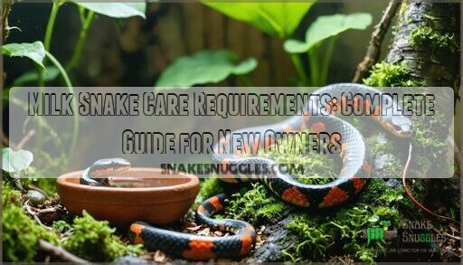Milk Snake Care Requirements: Complete Guide for New Owners