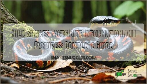 Milk Snakes Facts Bite Information and Pictures: Complete Guide