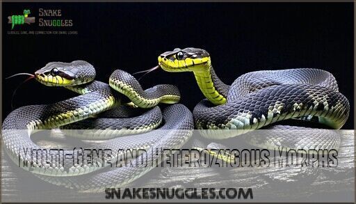 King Snake Morphs for Sale: Top Breeders & Best Prices 2025
