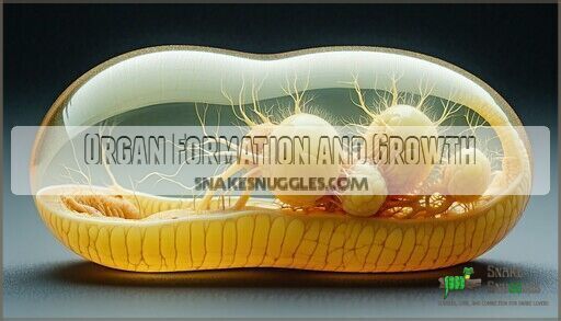 Incubation Period for Snake Eggs: Complete Care Guide (2025)