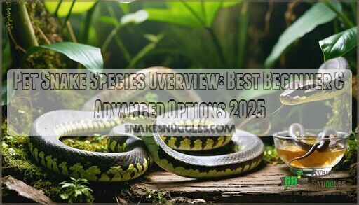 Pet Snake Species Overview: Best Beginner & Advanced Options 2025