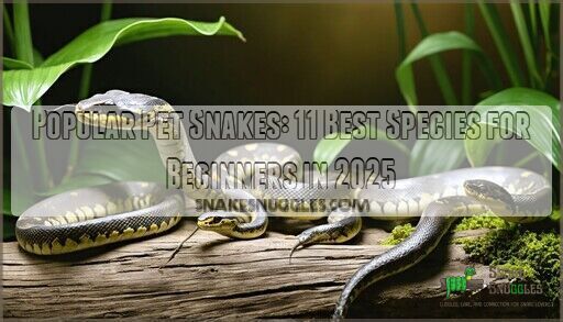 Carpet Python Facts: 10 Amazing Features You Didn't Know