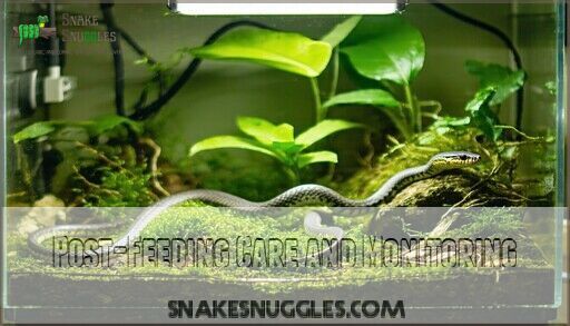 Easy Ways to Feed Snakes: Safe Methods & Tips for New Owners