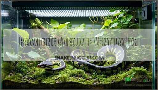 Ball Python Enclosure Setup: Complete Guide for Perfect Habitat