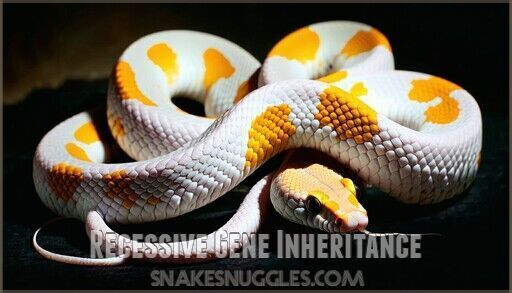 What is an Albino Corn Snake? Complete Guide & Care Tips 2025