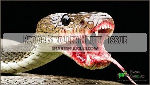 Snake Mouth Rot Signs: 6 Critical Symptoms Every Owner Must Know