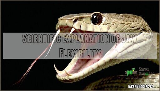 Snake Jaw Dislocating Mechanism Explained: Myth Vs Science Facts