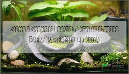Signs a Snake is Gravid: 7 Key Indicators Every Owner Should Know