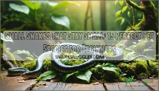 Small Snakes That Stay Small: 15 Perfect Pet Species for Beginners