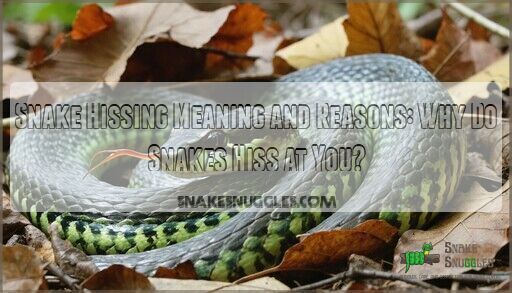 Snake Hissing Meaning and Reasons: Why Do Snakes Hiss at You?