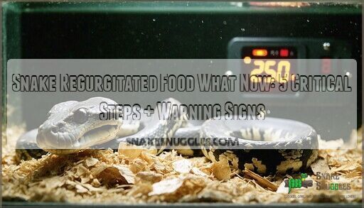 Rat Snake Natural Habitat: Complete Guide to Where They Live & Thrive