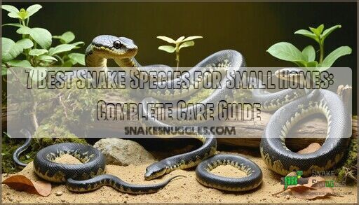 What Do Pythons Eat? Diet Insights & Feeding Habits Explained