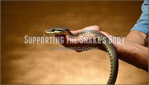 How Often Should I Handle My Corn Snake to Keep Them Friendly